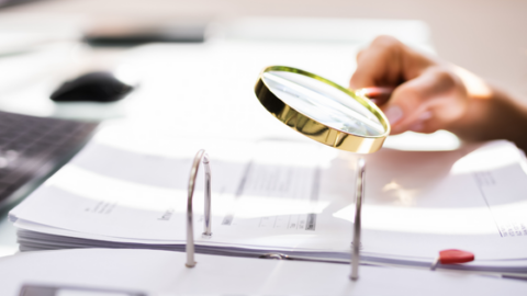 4 Best Practices for Your Fraud Recovery Plan - PKF Texas